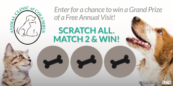Custom Scratch Off Tickets, Design Included - Just Scratch It!®